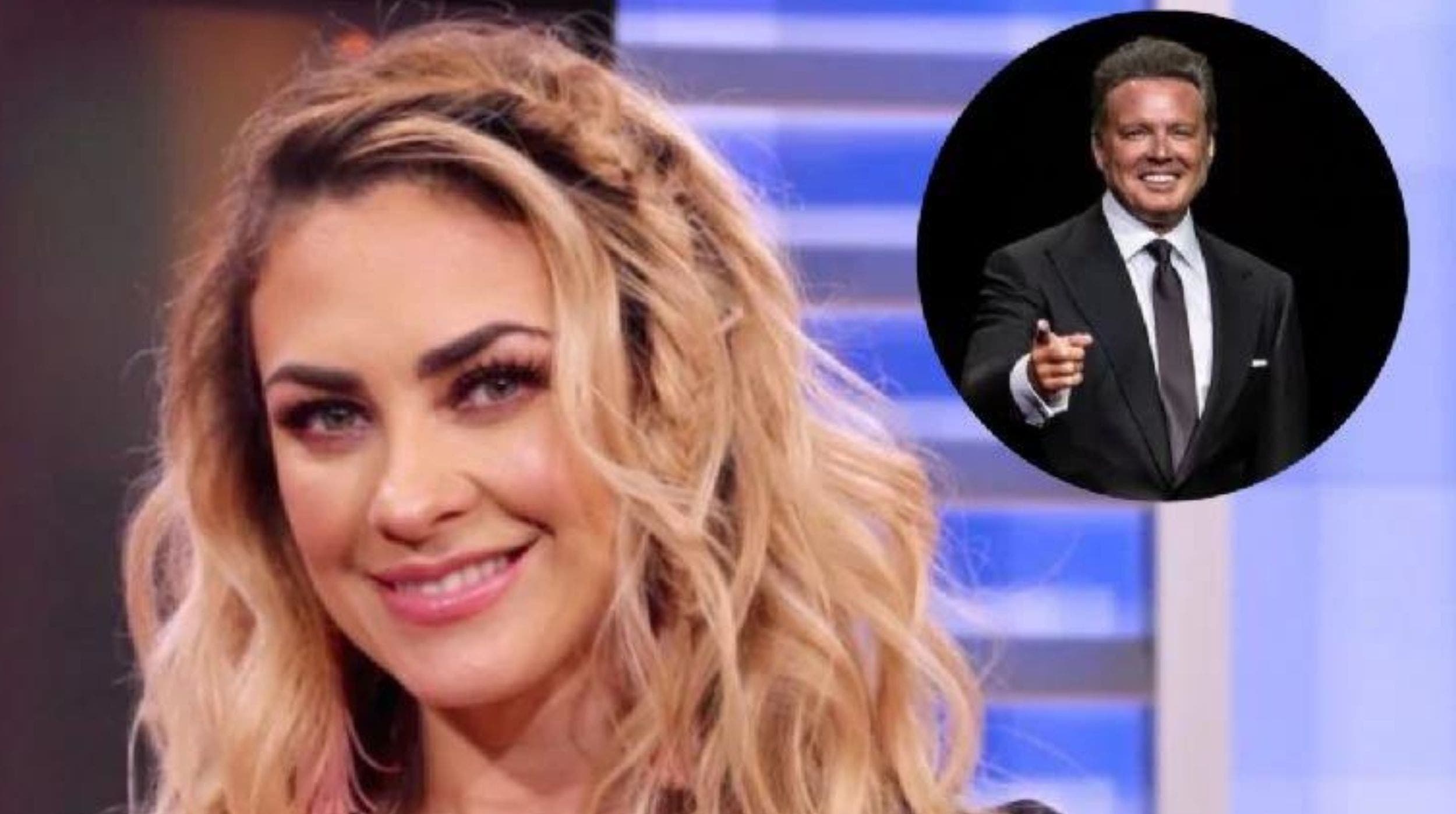 VIDEO: ¿Por qué Aracely Arámbula le dijo "rey cucaracho" a Luis Miguel? Te decimos: | Diario de ...